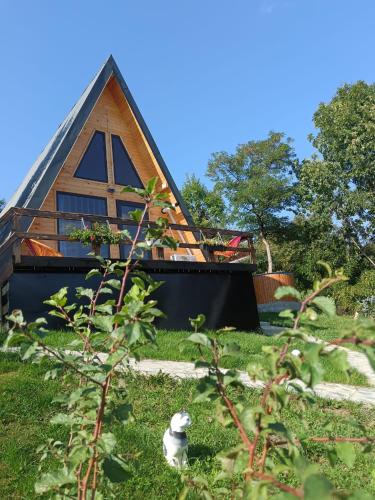 CarpatinA Rustic House, Runcu (updated prices 2025)