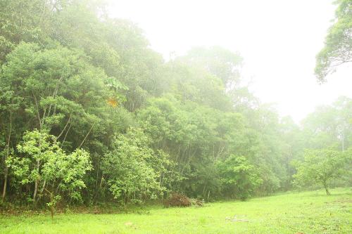 Chalé Primavera, Juquitiba (updated prices 2025)