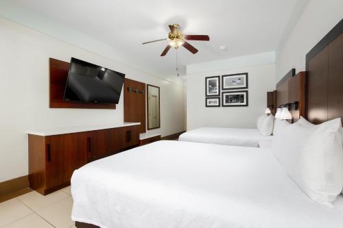 Sand Rose Beach Resort, South Padre Island – Updated 2024 Prices