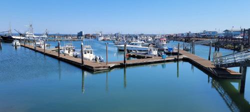 Saltwater Inn, Westport (updated prices 2025)