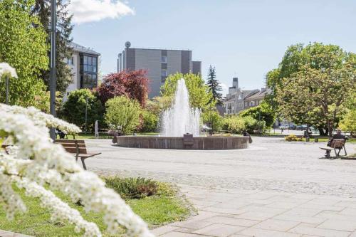 Alyvų tako studija, Alytus (updated prices 2024)