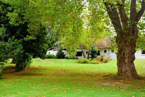 Kings Lodge Hotel, Hogsback – Updated 2024 Prices