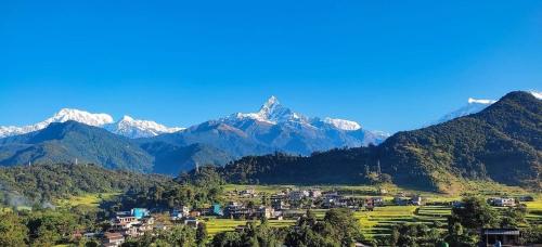 Osho Resort and Meditation Temple, Pokhara (updated prices 2024)