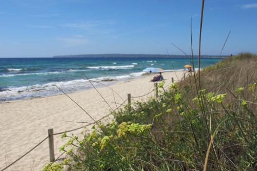 Voga Mari - Astbury Formentera, Playa Migjorn (aktualisierte Preise für ...
