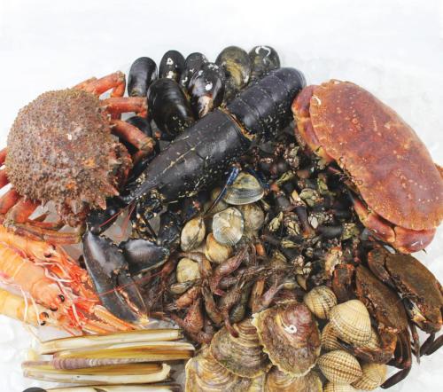 Casa Celsa cerca del mar, Baiona (updated prices 2025)