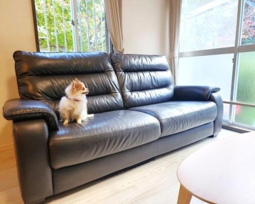 Ohama House, Sumoto (updated prices 2024)