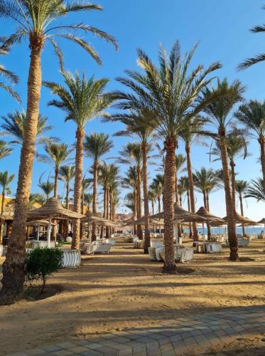 Seti Sharm Palm Beach Resort Families and couples only, Sharm El Sheikh ...