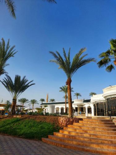 Seti Sharm Palm Beach Resort Families and couples only, Sharm El Sheikh ...