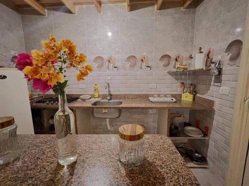 Zomoroda's house, Dahab – Updated 2024 Prices