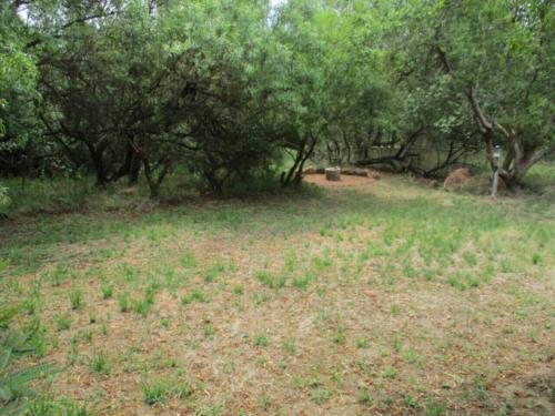 Moretele River Lodge, Temba (updated prices 2024)