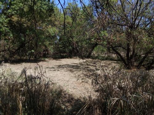 Moretele River Lodge, Temba (updated prices 2024)