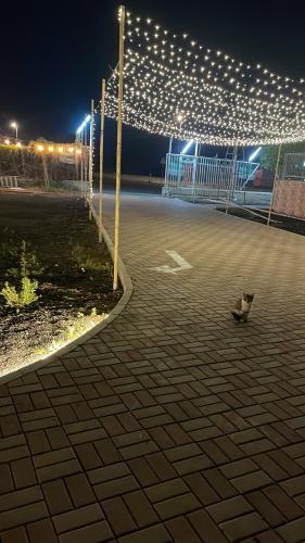 Murbad farm, Murbaḑ (updated prices 2024)