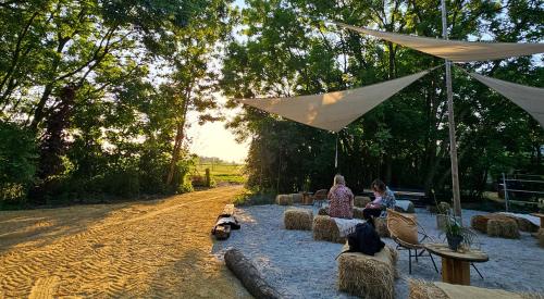 Farsk Britswert, Britswerd – Updated 2024 Prices