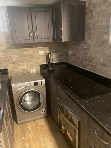 Seashell north coast Egypt, El Alamein (updated prices 2024)