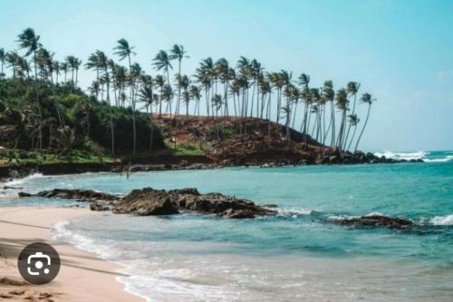 Mirissa Jungle view, Mirissa (updated prices 2024)