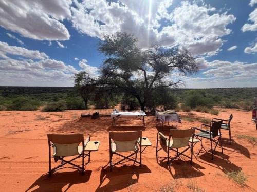 Tigers’Lair Dorsland Cottage, Aranos – Updated 2024 Prices