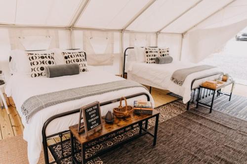 Timberline Glamping Cheaha, Delta (updated prices 2024)