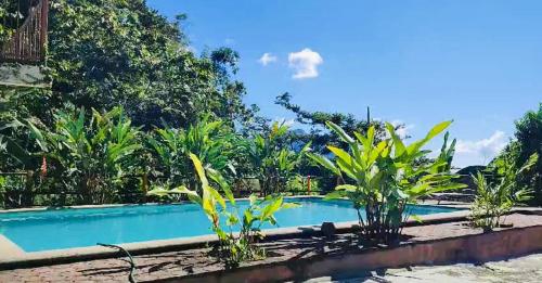 Finca San Antonio, Pluma Hidalgo (updated prices 2024)