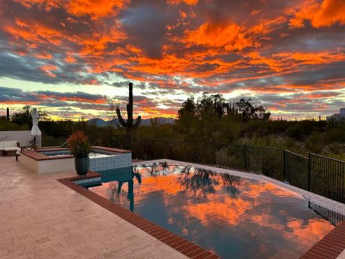 The Owl House, Tucson – Updated 2024 Prices