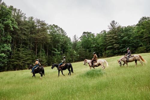 The Lodge at Primland, Auberge Collection, Meadows of Dan (updated ...