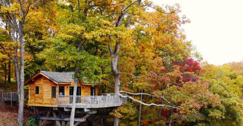 The Lodge at Primland, Auberge Collection, Meadows of Dan (updated ...