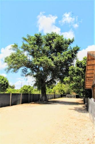 Exclusive Lake Tiny House in Beautiful Japanese Garden, Homestead ...