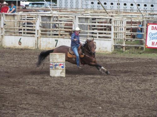 Exclusive Lake Tiny House in Beautiful Japanese Garden, Homestead ...
