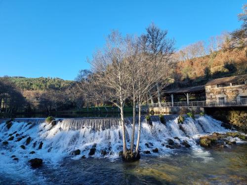 Quinta da Canda, Cerva (updated prices 2024)