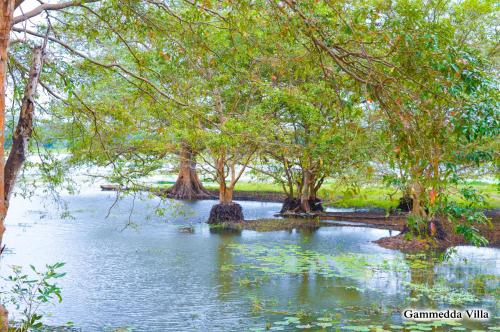 gammada vila restaurant, Habarana (updated prices 2025)