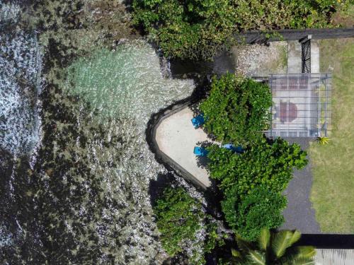 MOTU NONO HOUSE, Afaahiti (updated prices 2024)