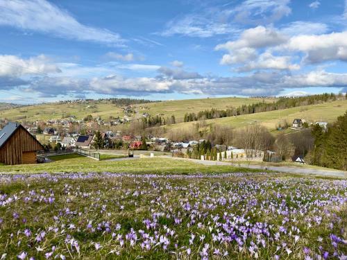 Bystre DOMKI, Nowe Bystre (updated prices 2025)