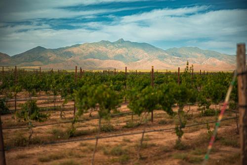 Casa Barbera at Tirrito Farm, Willcox (updated prices 2024)