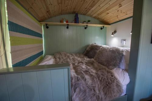 Cosy Shepherds Hut with hot tub in the Scottish Highlands, Stittenham (updated prices 2024)