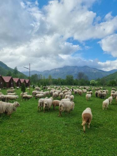 Ethno Katun ROSSI Agrotourism, Vusanje (updated prices 2024)