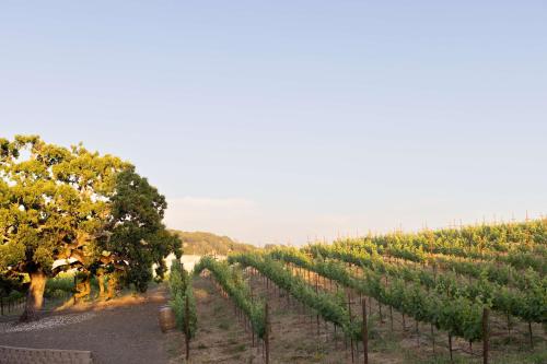 The Meritage Resort and Spa, Napa (updated prices 2024)