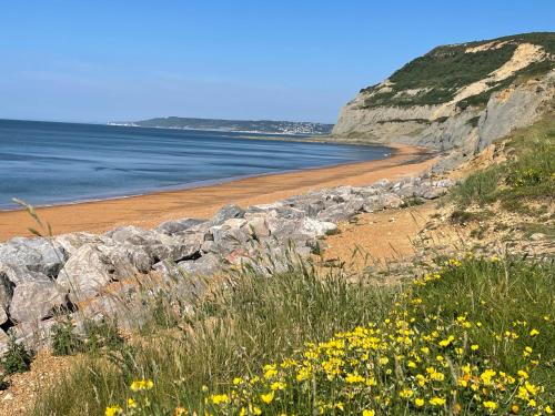 Gingerbread Cottage, Chideock (updated prices 2025)