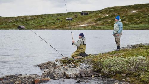 Koselig hytte med usjenert og solrik beliggenhet, Geilo (updated prices ...