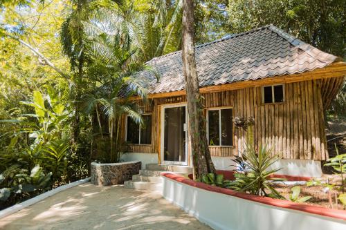 Falling Leaves Lodge, San Ignacio (updated prices 2025)