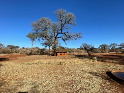 Winterfell Lephalale Lodge, Lephalale (updated prices 2025)