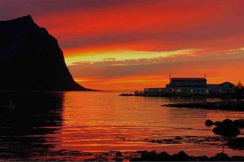 Rural life on the rough coastline of Senja, Skaland (updated prices 2024)