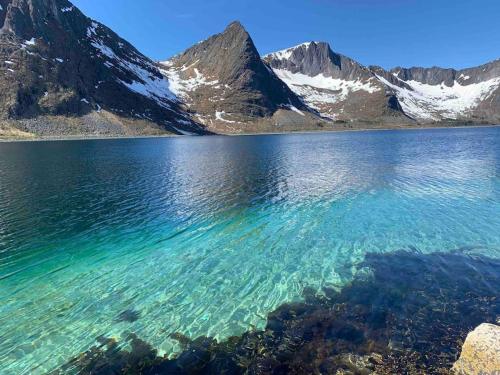 Rural life on the rough coastline of Senja, Skaland (updated prices 2024)