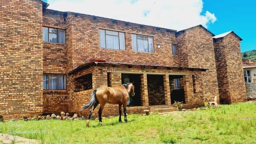 Matibidi Guest Lodge, Graskop (preços atualizados para 2024)