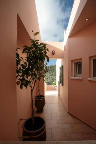 Naxos Chalkion Beautiful Detsis House with jacuzzi, Khalkíon (updated ...