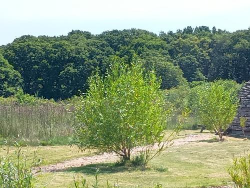 Cosy Cabins at Westfield Farm, Isle of Wight, Yarmouth (updated prices ...