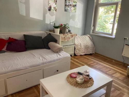 Cozy Visegradska, Belgrade (updated prices 2024)