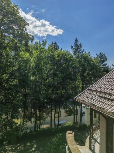 Castelul Stirbey, Sinaia (updated prices 2025)