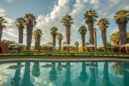 Mount Etjo Safari Lodge, Kalkfeld (aktualisierte Preise für 2024)