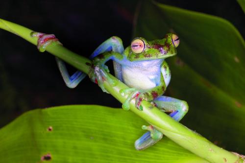 Mindo Lago Hotel Destino, Mindo – Precios actualizados 2022