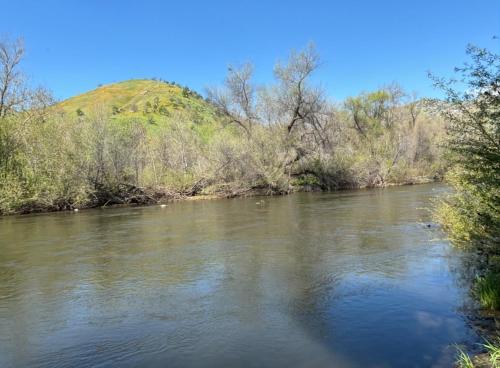 Sequoia River Front Cabins, Three Rivers (updated prices 2024)