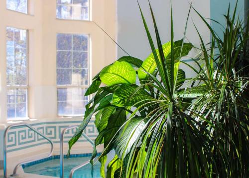 Senator Inn & Spa, Augusta (updated prices 2025)